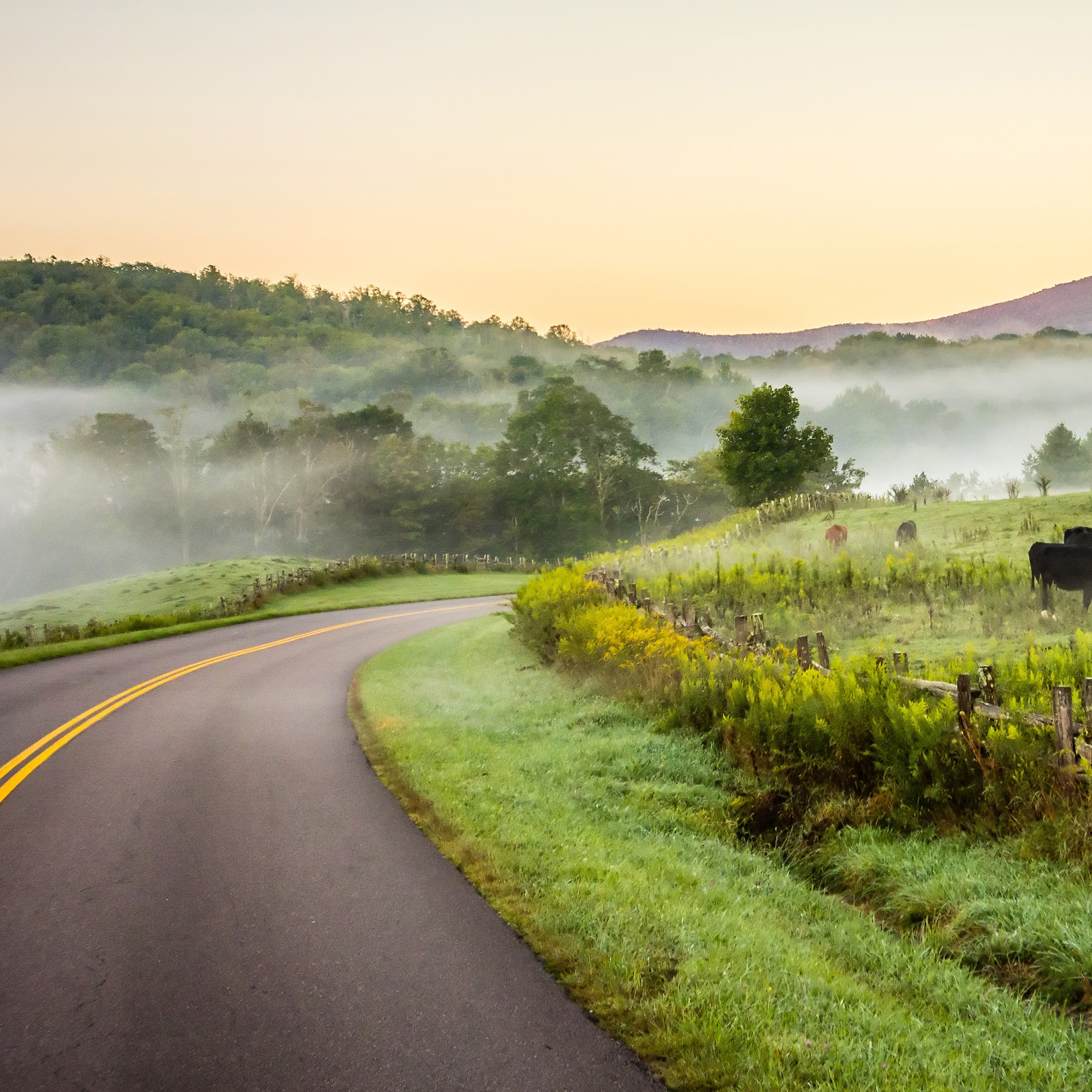 Blue Ridge Parkway is Open 2026 High Country Detour Trail Status